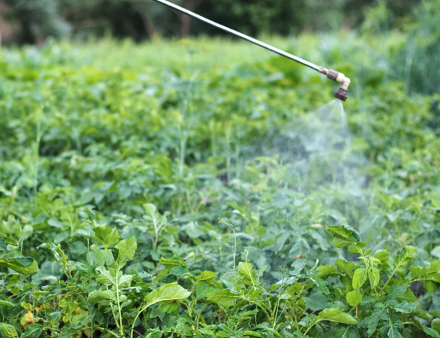 Application – Finozen Nutrigation